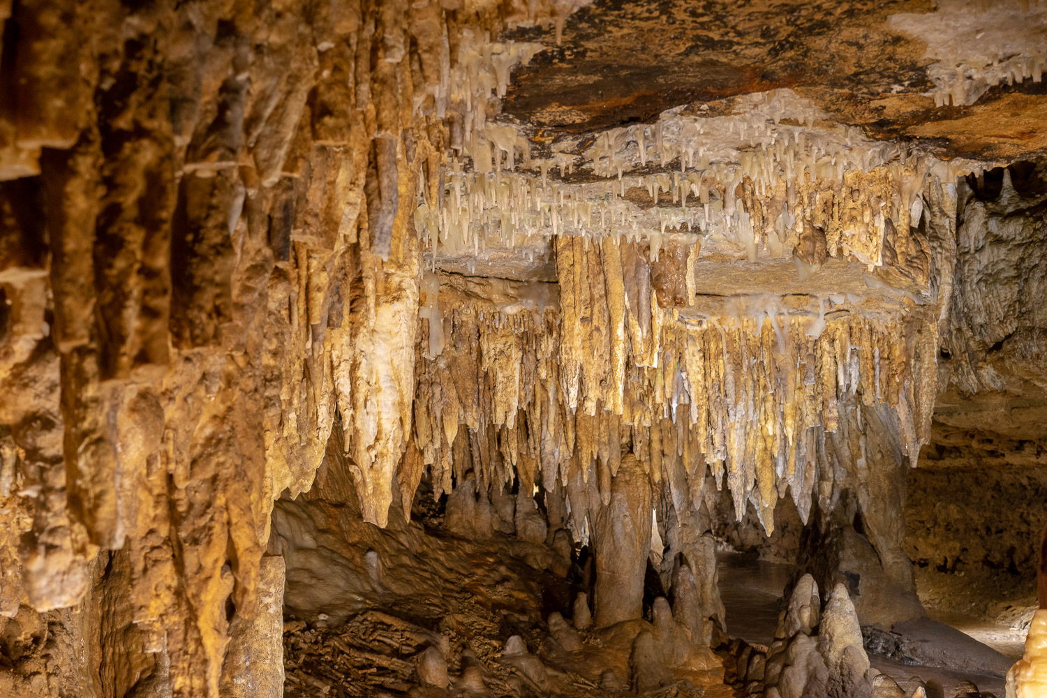 Sunday, July 8, 2018 - Cave of the Mounds, in Blue Mounds, Wisconsin